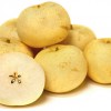 Nashi - Fresh Markets Australia