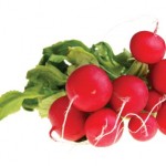 Radish - Fresh Markets Australia